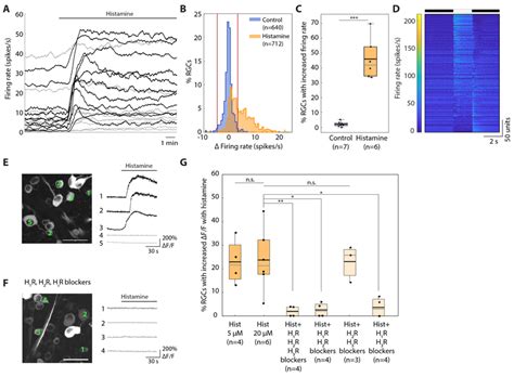 Histamine Increases The Baseline Activity Of Rgcs A Baseline Firing