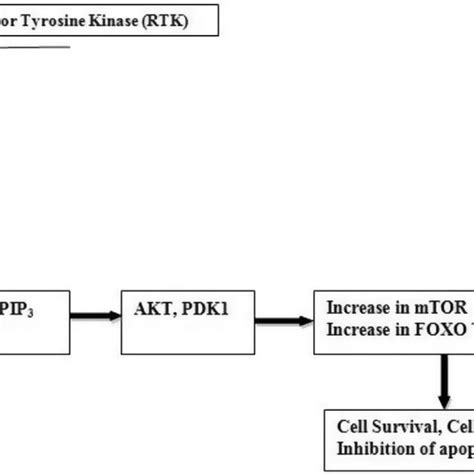 Pdf A Updated Review On Activated Pi3 Kinase Delta Syndrome Apds