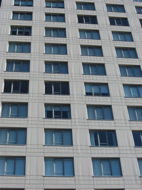 Too Many Windows Free Photo Download FreeImages