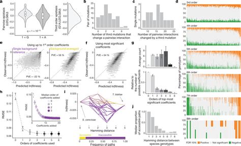 Averaging Coefficients Across Genetic Backgrounds And Using Higher Download Scientific Diagram