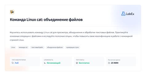 Команда Linux Cat объединение файлов Labex