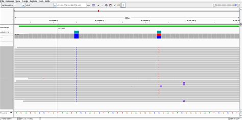 Pipeline Variant Detection Squigualiser