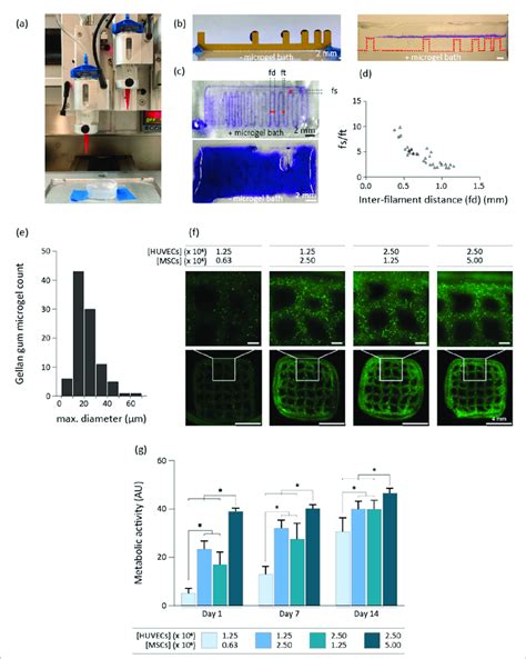 Extrusion Based Bioprinting Of Fibrinogen And Gelatin Cell Laden