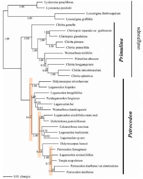 Bayesian Inference Tree With Average Branch Lengths Based On Combined Download Scientific