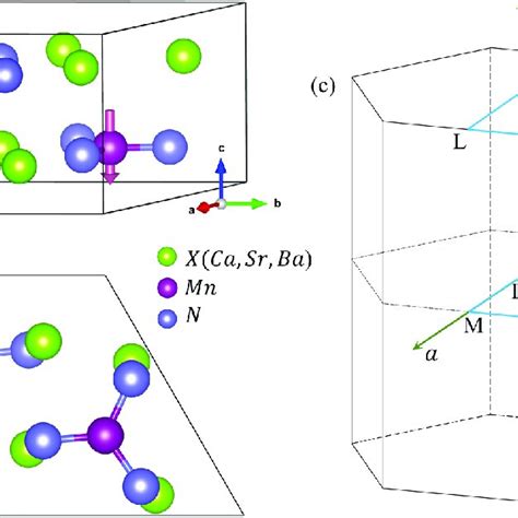 Projected Band Structures Of Ferromagnetic And A Type Antiferromagnetic