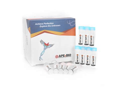 Annexin V Pe 7 Aad Apoptosis Kit