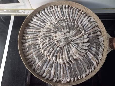 შავი ზღვის თევზი Added A New Photo შავი ზღვის თევზი