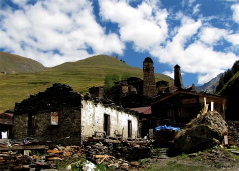 კავკასიური როჭო Lyrurus Mlokosiewiczi