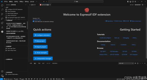 ESP 开发在VS Code中安装ESP IDF环境新建工程编译代码下载程序ESPIDF CSDN博客