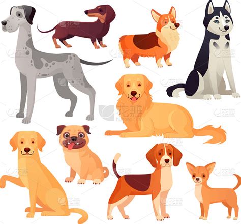 狗 宠物 性格 金色 拉布拉多犬 可爱的 纯种犬 巴哥犬 哺乳纲 动物