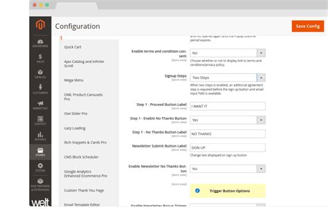 Newsletter Popup Extension For Magento
