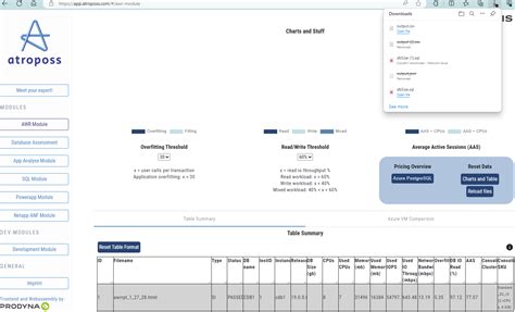 oracle sizing guidance for azure netapp files