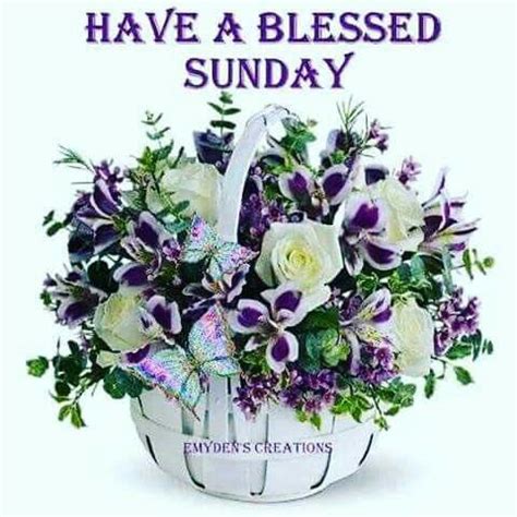 Have A Blessed Sunday Pictures Photos And Images For Facebook Tumblr Pinterest And Twitter