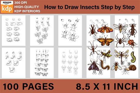 How To Draw Insects Step By Step Graphic By BreakingDots Creative Fabrica