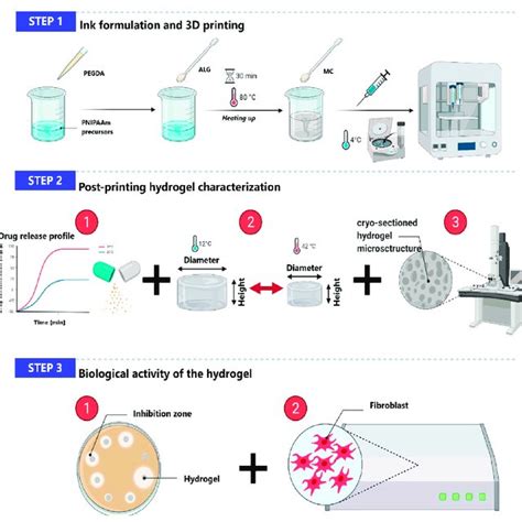 Preparation Characterization And Biological Activity Of 3 D Printed