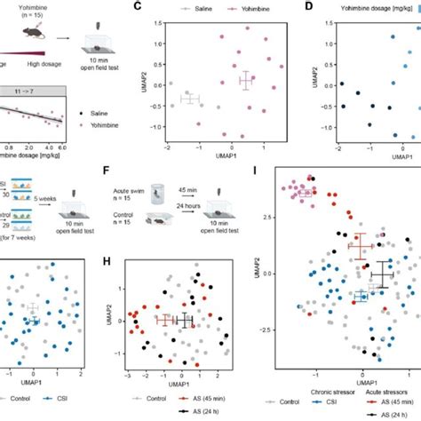 Behavioral Flow Fingerprinting Bff Captures Individual Differences In