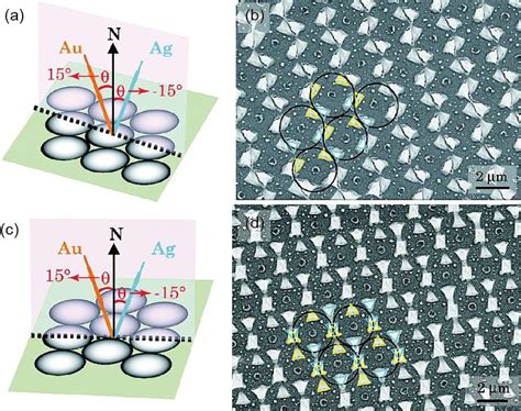 Color Online Schematic Illustration For The Fabrication Process Of