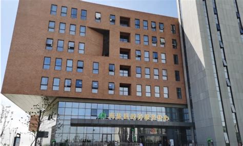 从面对面到肩并肩 市民点赞海盐无前台办事
