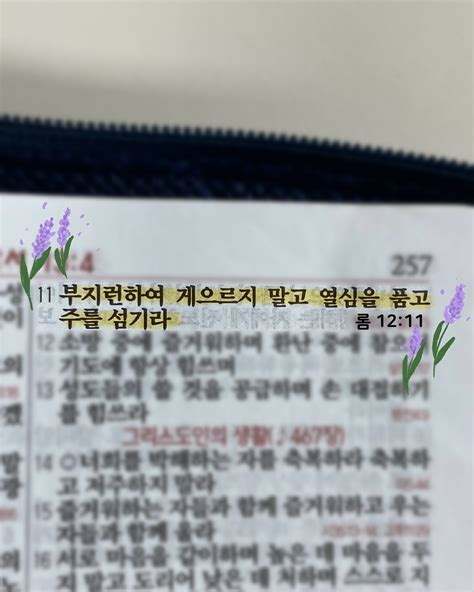 햇살콩 ㅣ 김나단 김연선 선교사 하나님의 복음을 전하는 씨앗 햇살콩🌿 주의 말씀은 내 발의 등이요 내 길에 빛입니다 하나님의 말씀에 생명을 거는 자