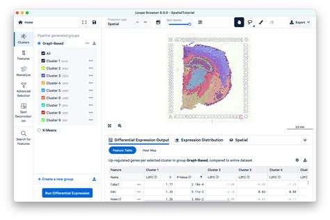 Visium V Mouse Brain Dataset Introduction Official X Genomics Support