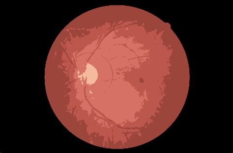 python calculate the white pixel inside cv2 circle stack overflow