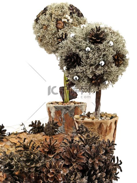 两棵带花圈的装饰树高清摄影大图 千库网