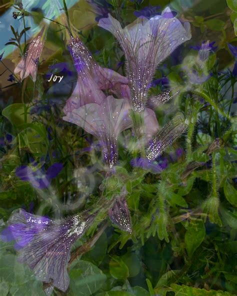 🌸 You Are Exploding Paper Notebooks 🚀 Joyfully Exploding Doequo
