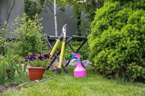 Essential Tools For Australian Gardeners Ultimate Backyard
