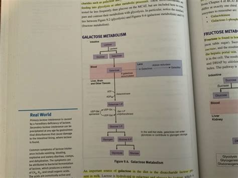 Biochemistry Flashcards Quizlet