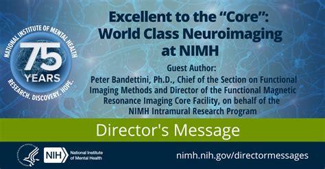 Excellent To The “core” World Class Neuroimaging At Nimh National Institute Of Mental Health