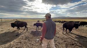 Surreal Meet The Colorado Ranchers And Cu Alums Who Donated