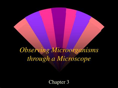 PPT Observing Microorganisms Through A Microscope PowerPoint Presentation ID