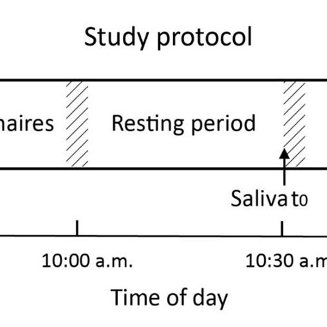 Graphical Representation Of The Study Protocol Including The Graphical Representation Of The Study Protocol Including The