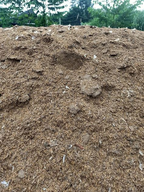 เตรียมส่งพรุ่งนี้6พ่วง ขี้ไก่สวยๆ🐓🐓 อตระการพืชผลจ อุบลฯ1 พ่วง อดอนตาลจ มุกดาหาร2 พ่วง อวัง