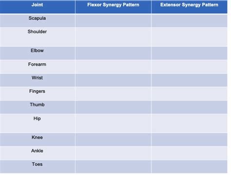 Synergy Patterns Diagram Quizlet