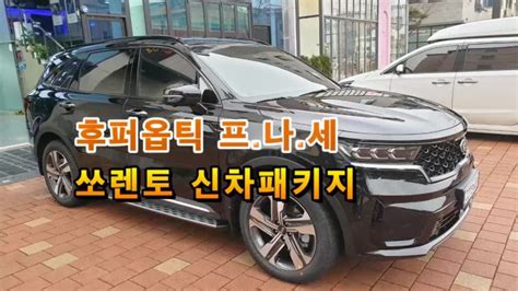 동탄 신차패키지 국제 특허필름 후퍼옵틱 프나세로 완벽하게~ 네이버 블로그