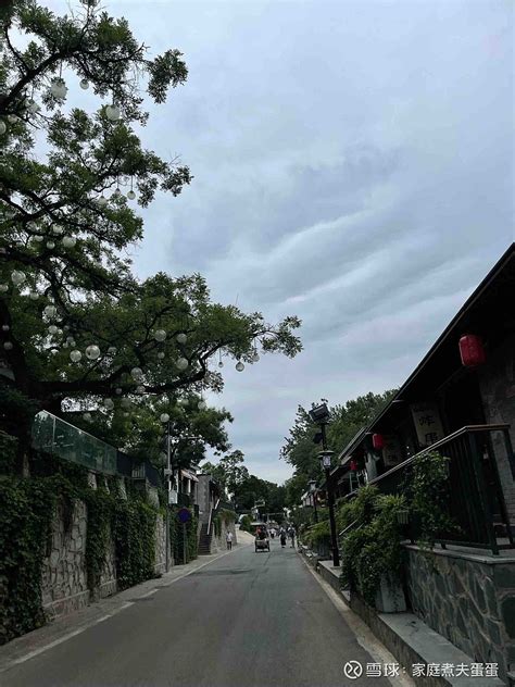 张江高科 SH600895 一句话说清逻辑以产业园为载体的顶级创投公司换一种方式说以地产类项目发家的全产业资产 雪球