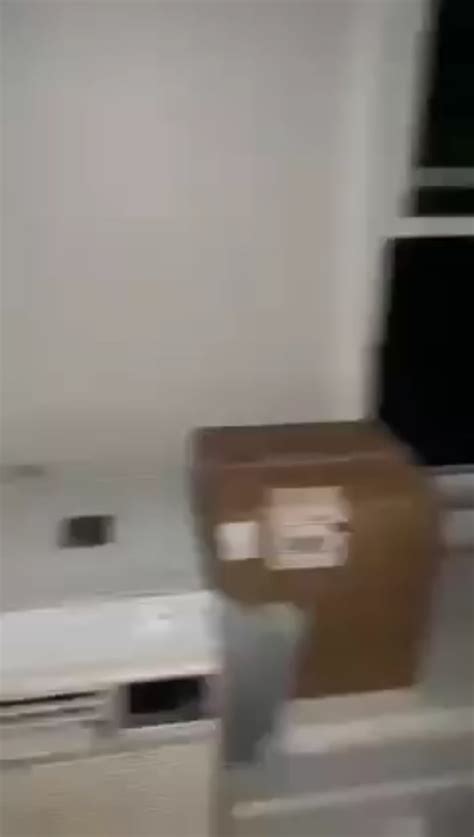 Anomoly In The Wild R Anomalyxd