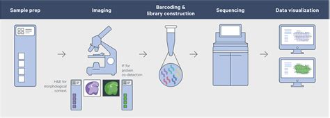 Technologies Spatial Technologies Unit
