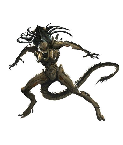 84 Best Predalien Images On Pinterest Aliens Alien Vs Predator And