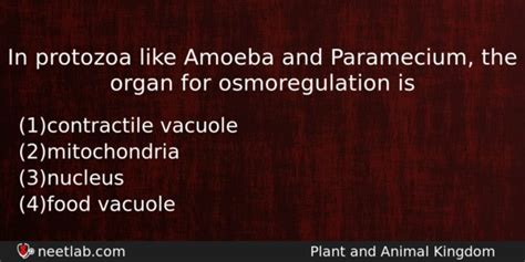 In Protozoa Like Amoeba And Paramecium The Organ For Osmoregulation Is Neetlab