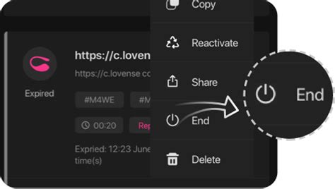 Lovense Control Link Guide Connect And Enjoy Anywhere