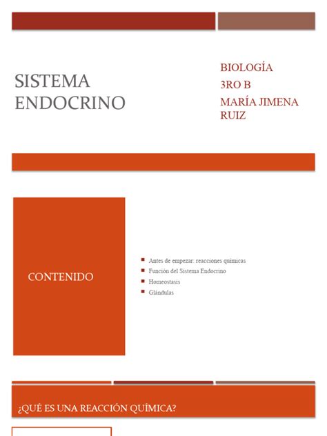 Endocrino Pdf Sistema Endocrino Homeostasis