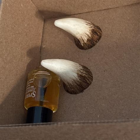 Any Skintone Small Elf Ears Handmade Latex Ear Tips Great For