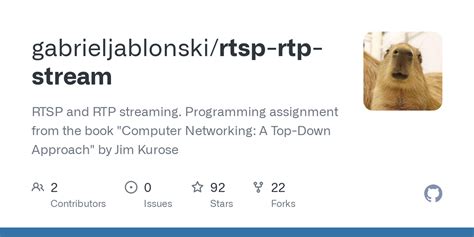 Github Gabrieljablonskirtsp Rtp Stream Rtsp And Rtp Streaming