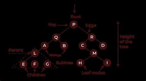 Difference Between Primitive And Non Primitive Data Structures