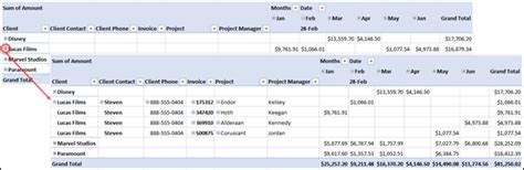 Figure 6 Using The Collapse Field Option To Simplify Pivottable