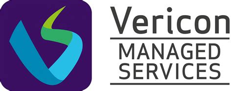 Damp And Mould Issues Vericon Systems