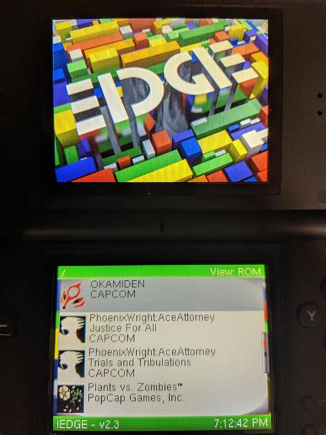 R4 Showing Duplicates Help Rnintendods