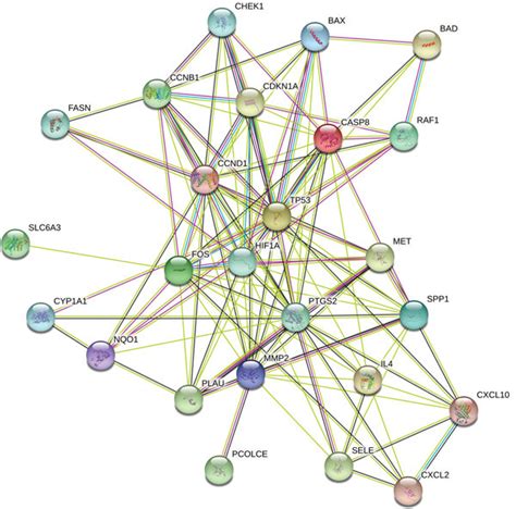 The Ppi Network Of Overlapping Targets Download Scientific Diagram